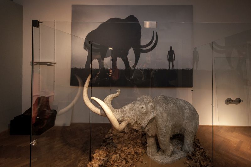 Muzeum vystavuje závěť biskupa Bruna — Ostrava